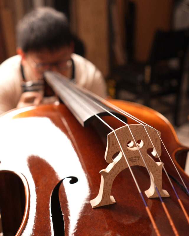 Cello 大提琴| Lyra Strings
