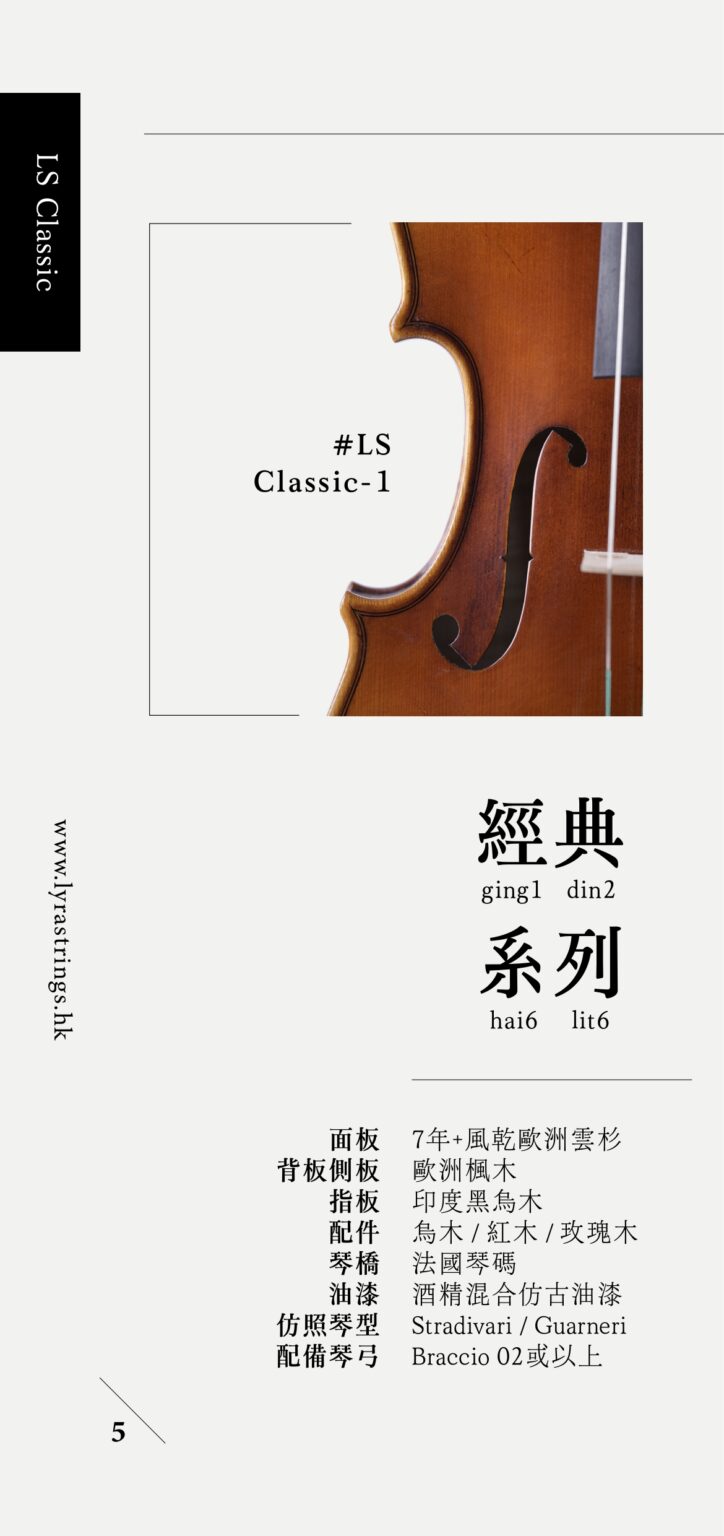 Professional Violin | Lyra Strings