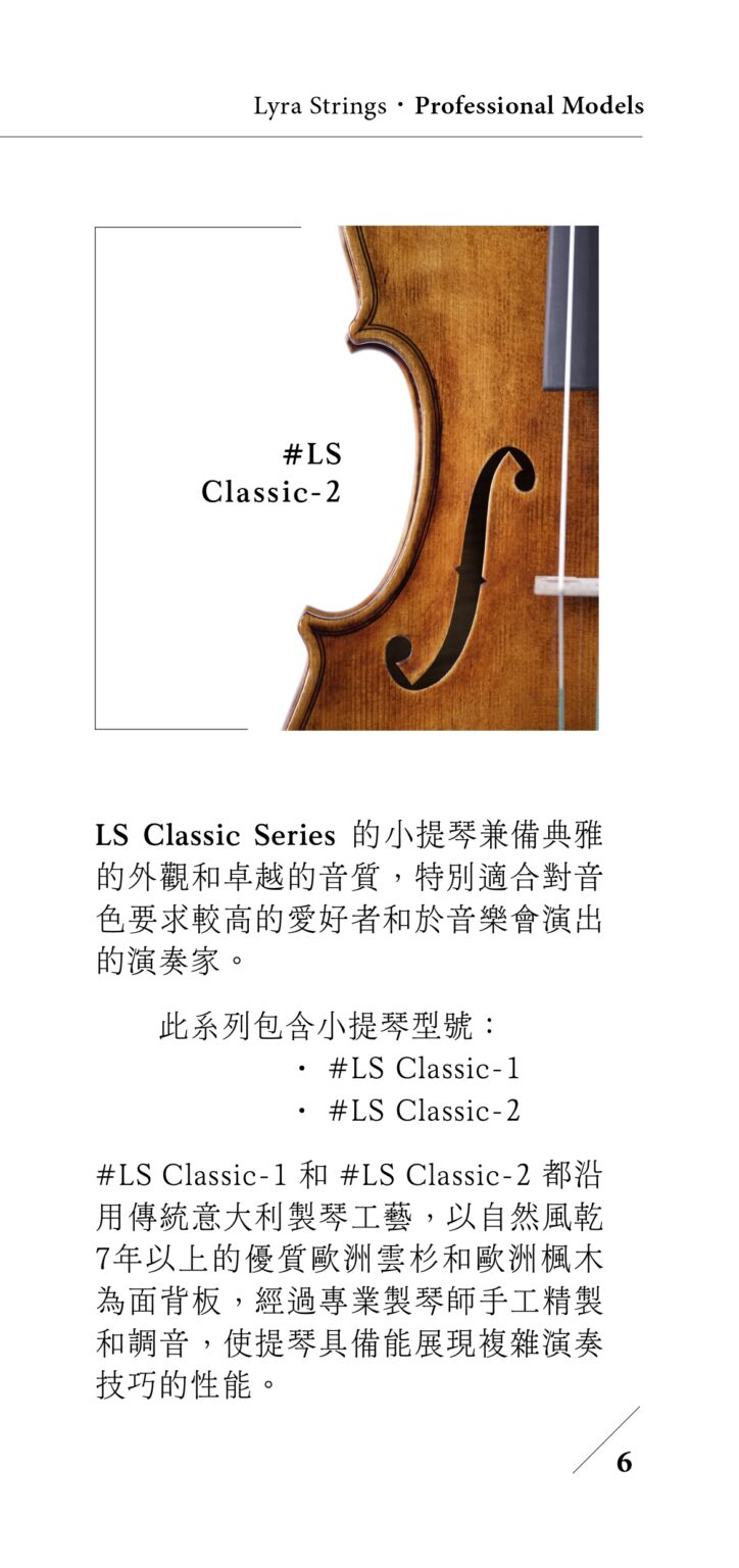 Professional Violin | Lyra Strings